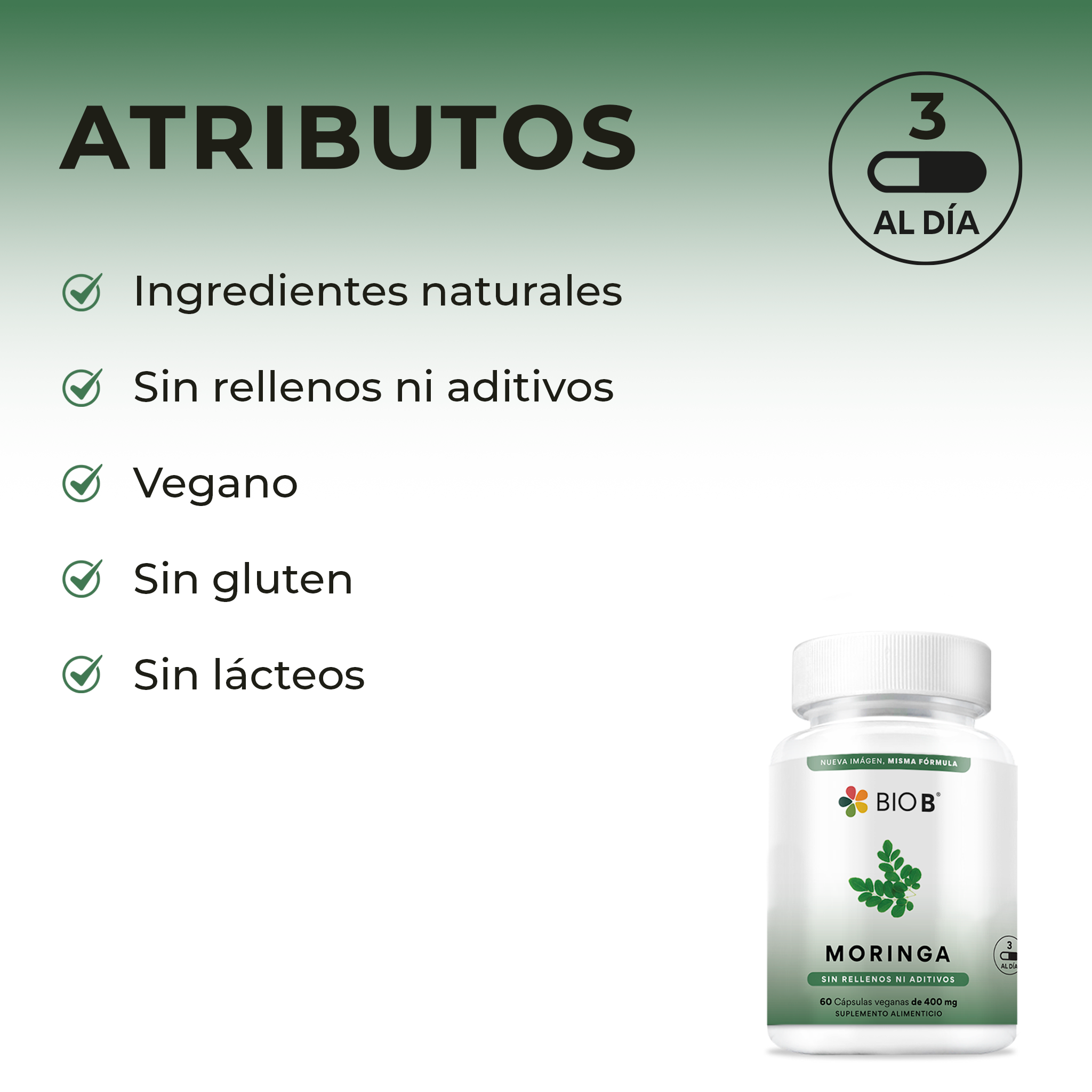 MORINGA – Bio B Suplementos